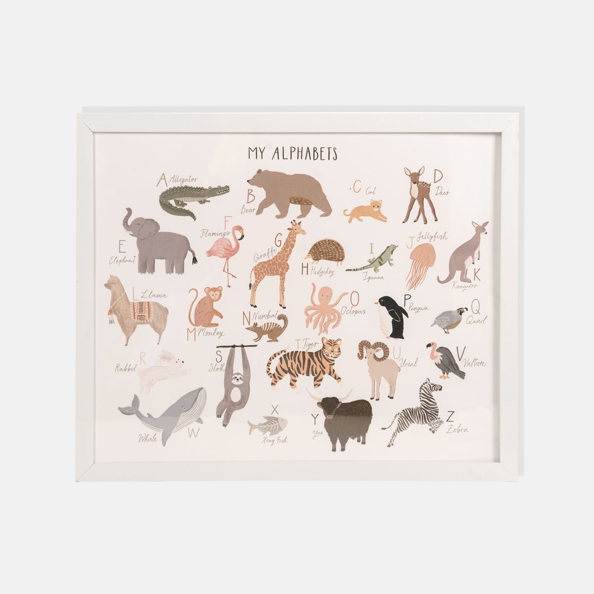 My Animal Alphabet - White Photo Frame - 11" x 14" | Shop online ...